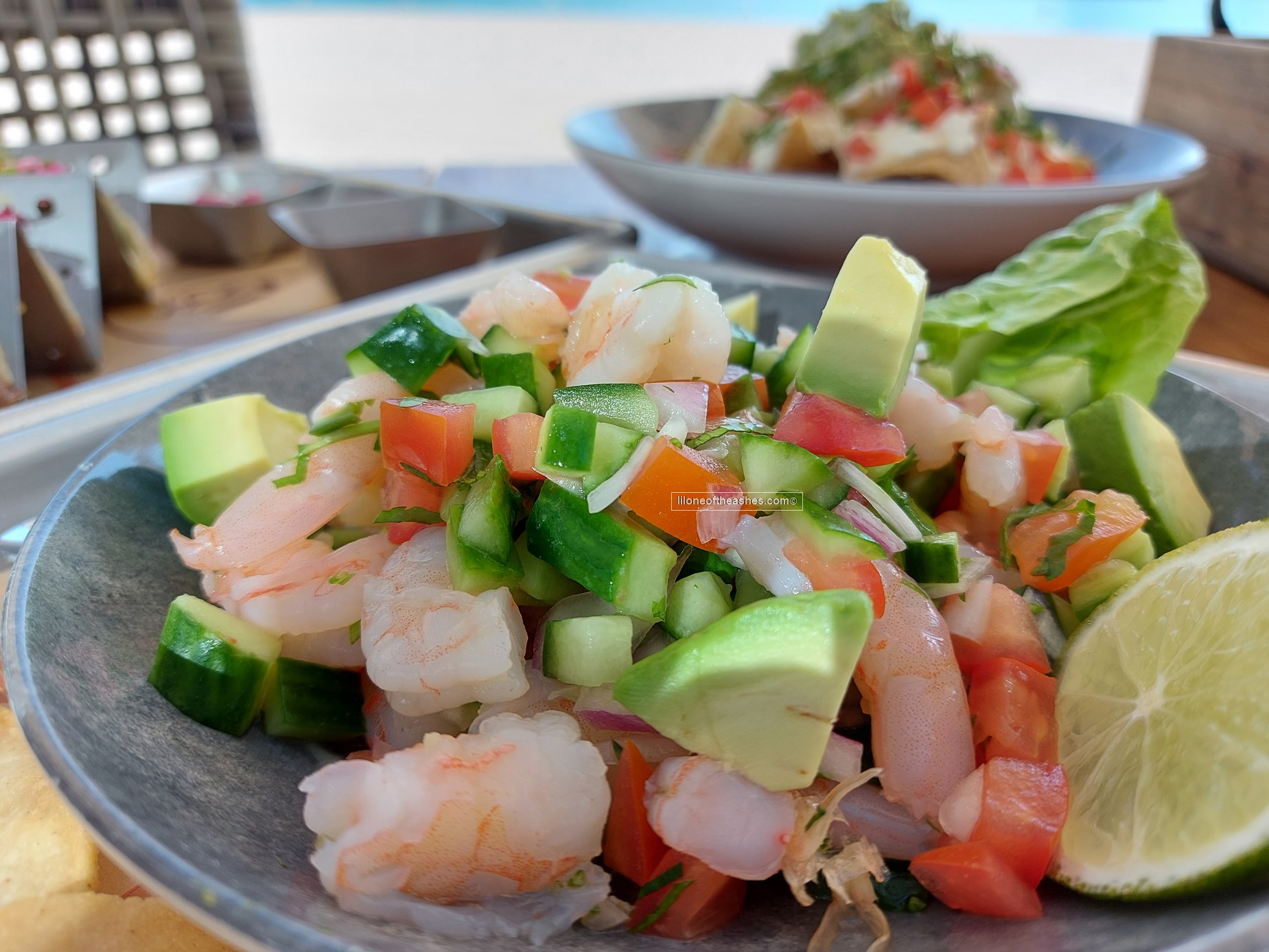 Sundowners @ Senor Pico, Palm West Beach Dubai - Dubai Family Leisure Guide