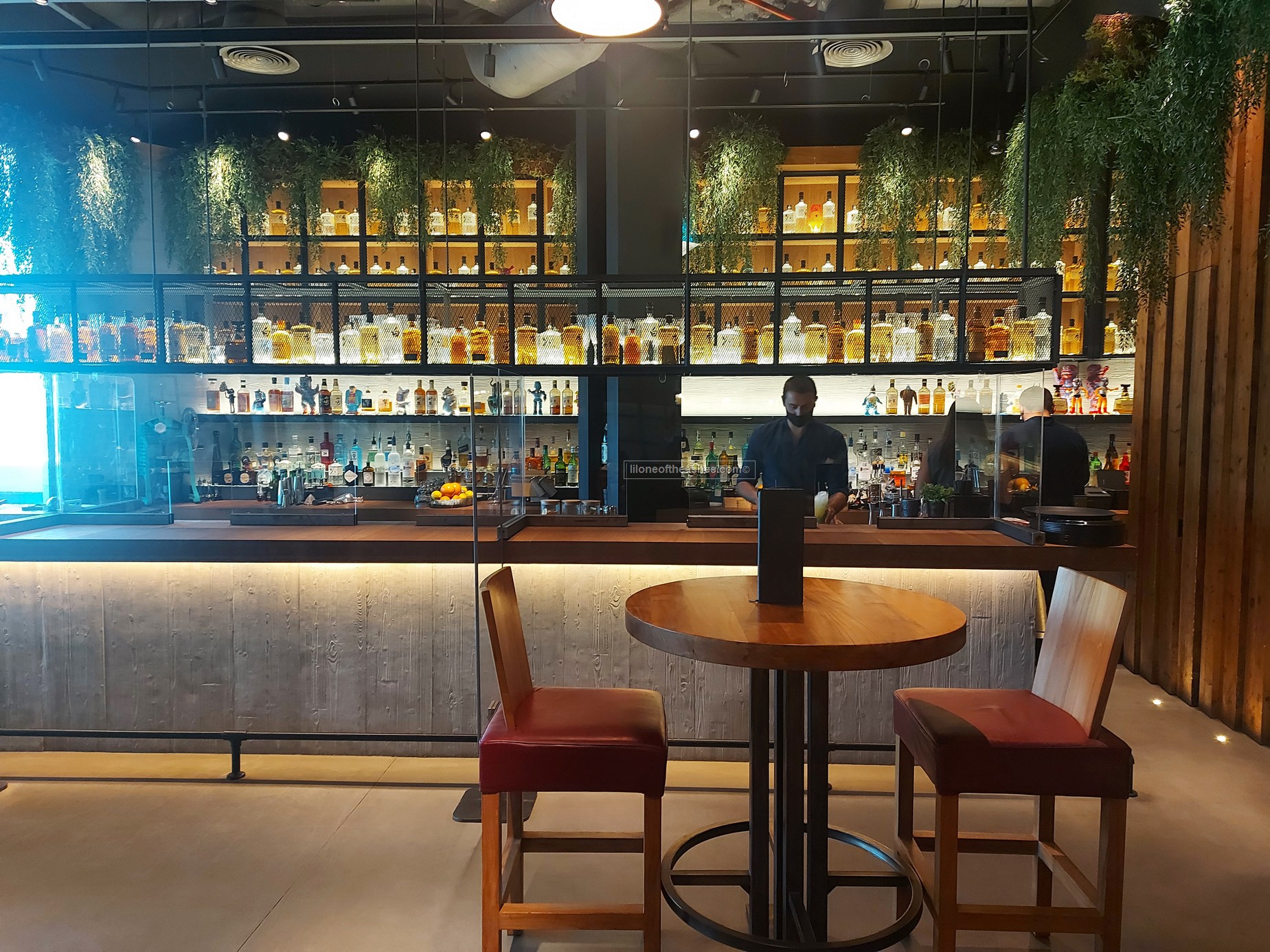 Business Lunch @ Roka, Dubai - Dubai Family Leisure Guide