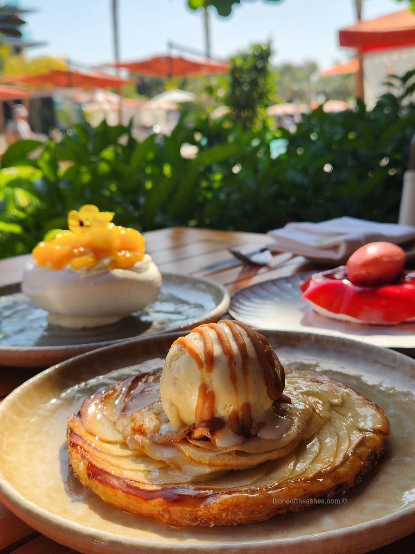 Business Lunch @ Alizee, Banyan Tree Dubai - Dubai Family Leisure Guide