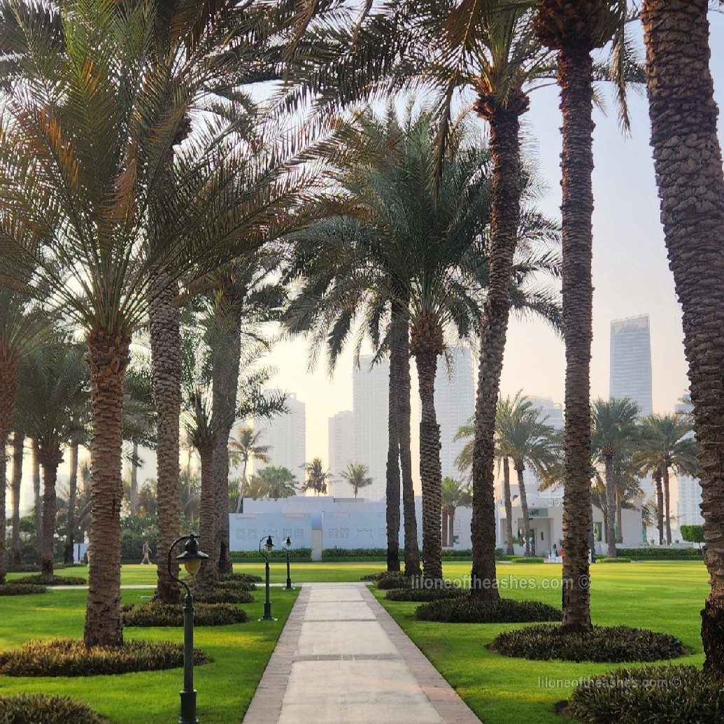Family Dining at BBG: An Upscale Beachfront Experience - Dubai Family ...