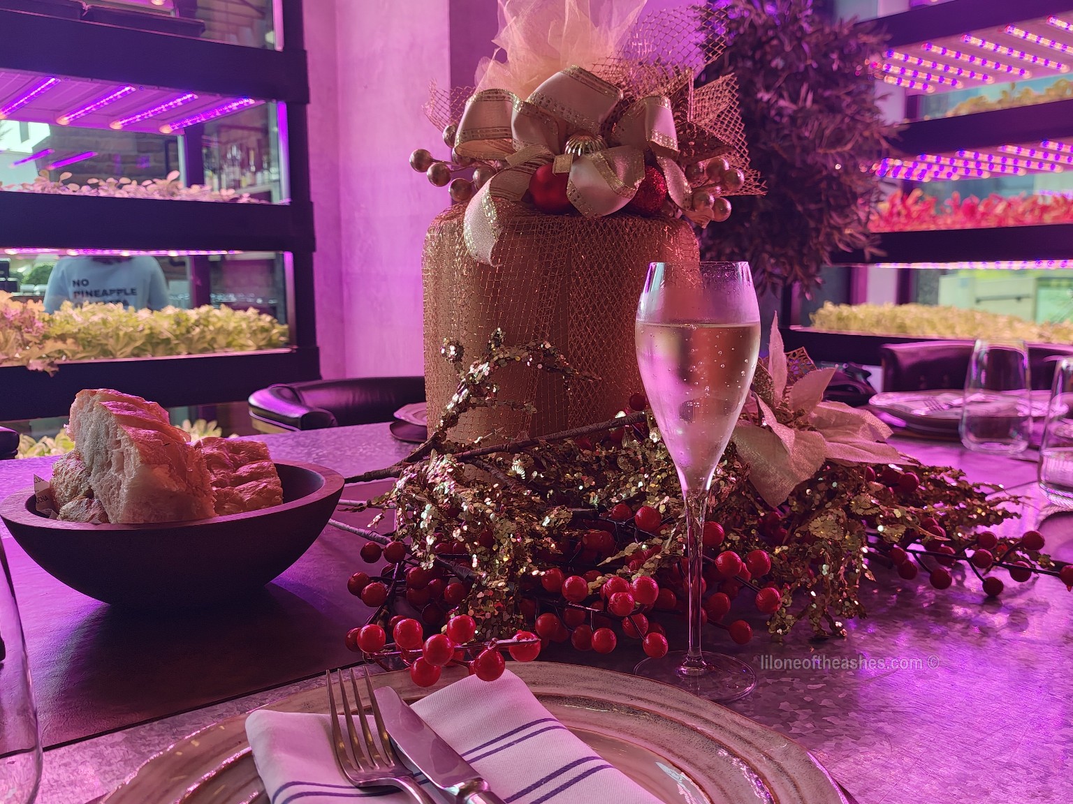 Festive Set Menu Gatherings @ Cucina the Palm Dubai - Dubai Family ...